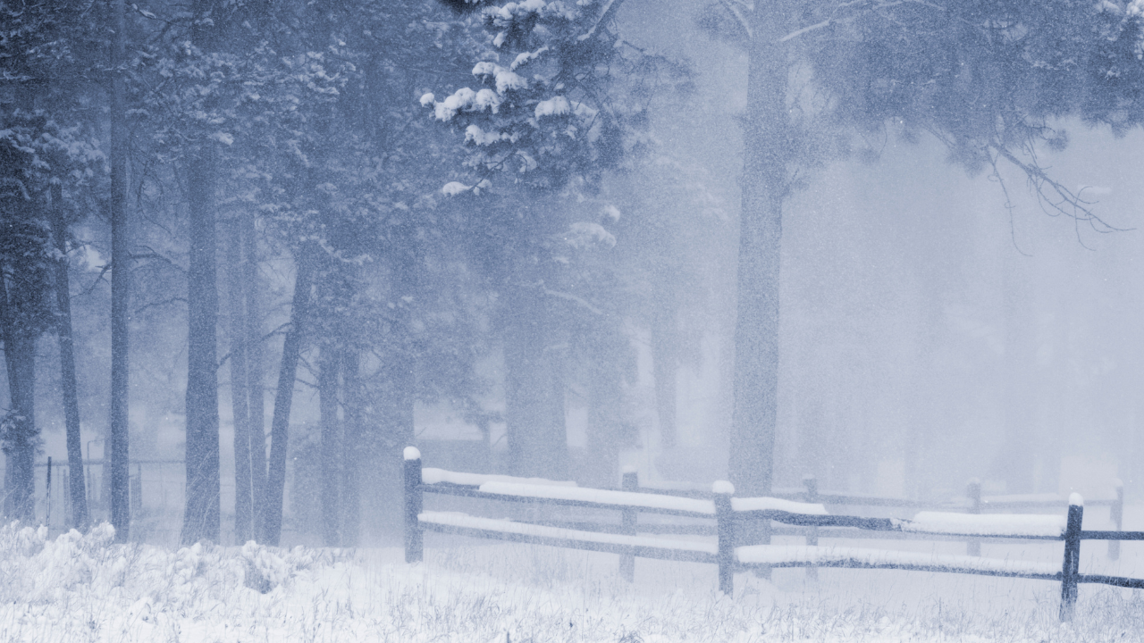 Trainings & Workshops Early January — Colorado Watershed Assembly