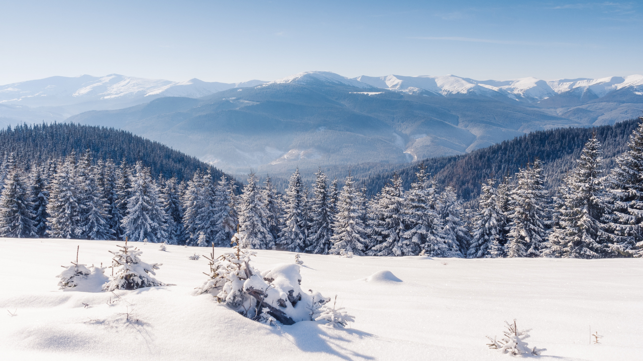 Announcements Early January — Colorado Watershed Assembly