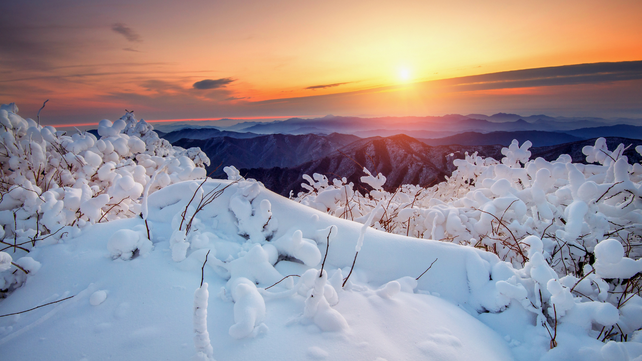 Conferences & Events Late February — Colorado Watershed Assembly