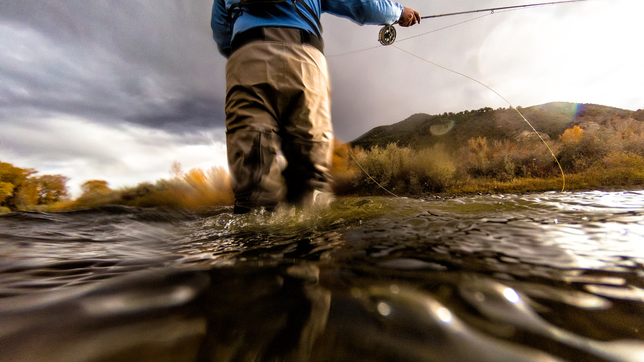 Colorado Watershed Assembly