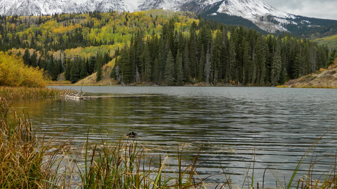 Conferences & Events Early October — Colorado Watershed Assembly