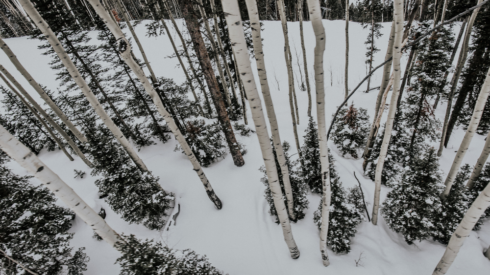 Colorado Watershed Assembly