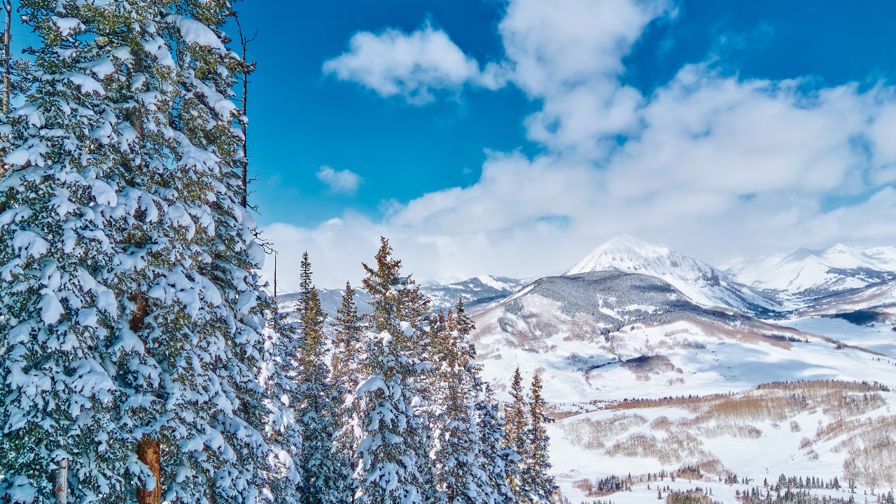 Colorado Watershed Assembly