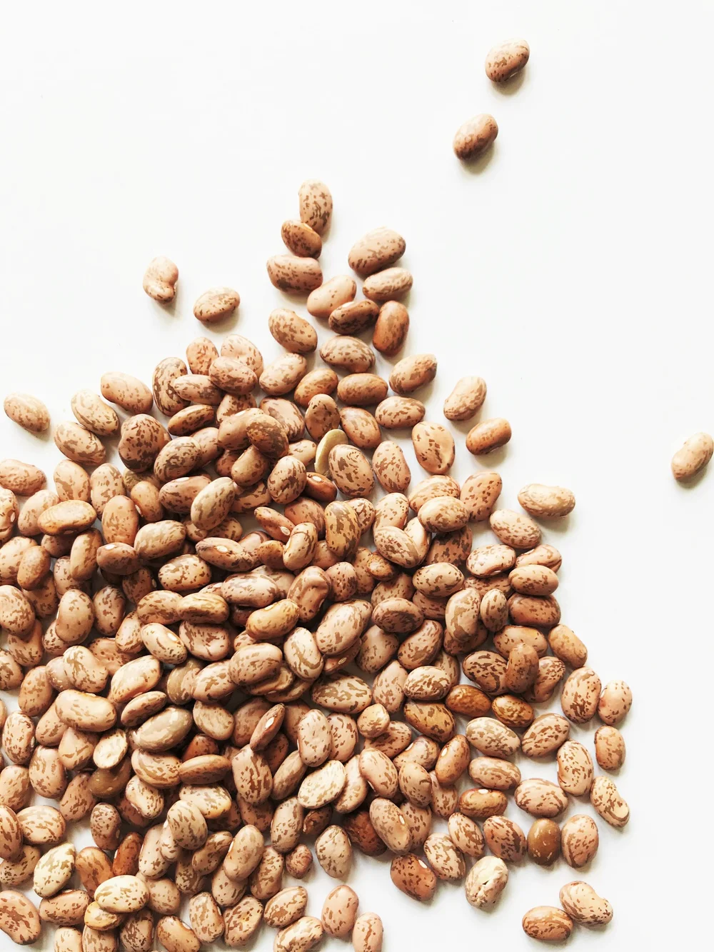 Batch Cooking Guide to Pinto Beans — Adventure Kitchen