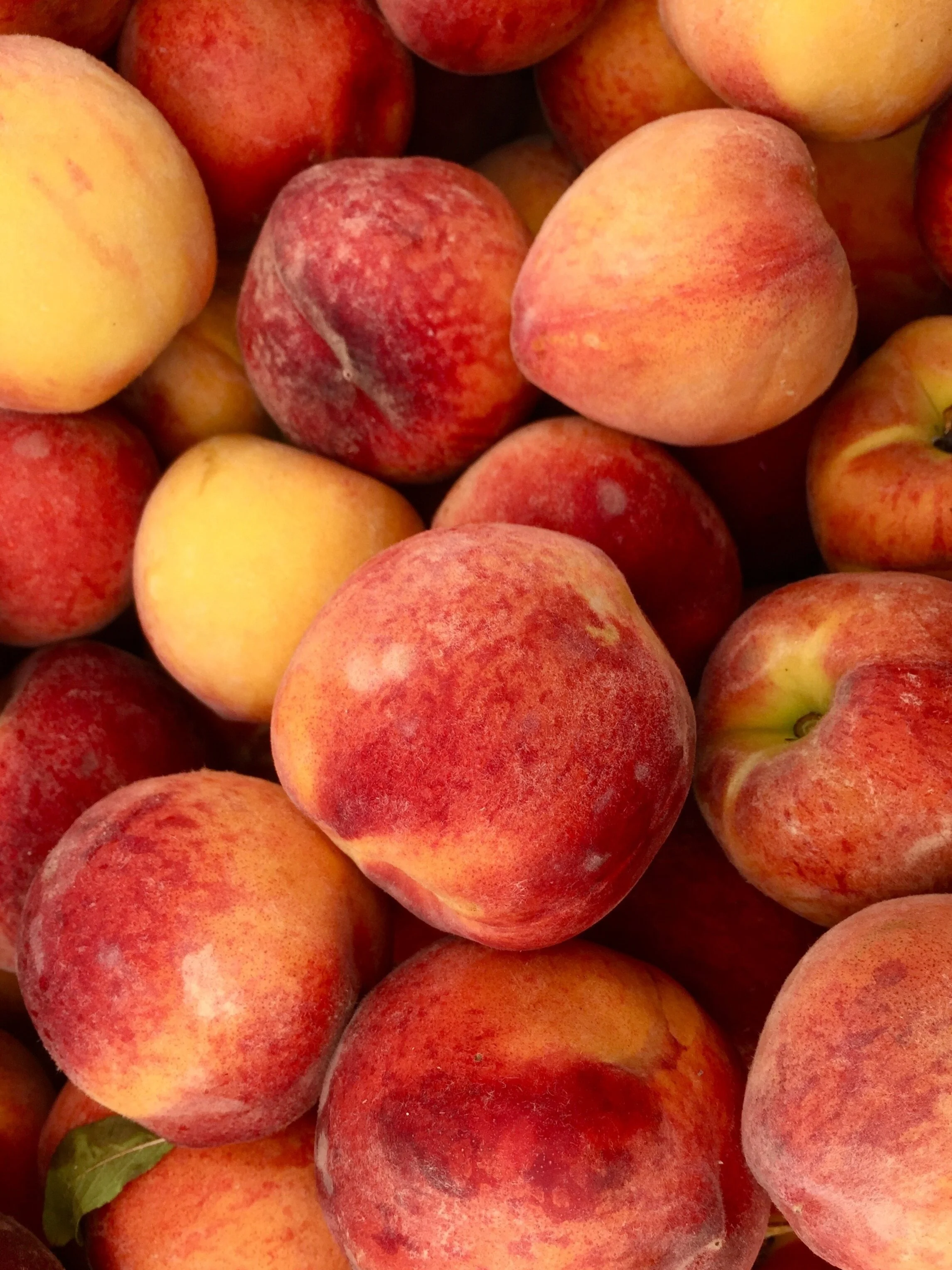 A Complete Guide to Peaches! — Adventure Kitchen