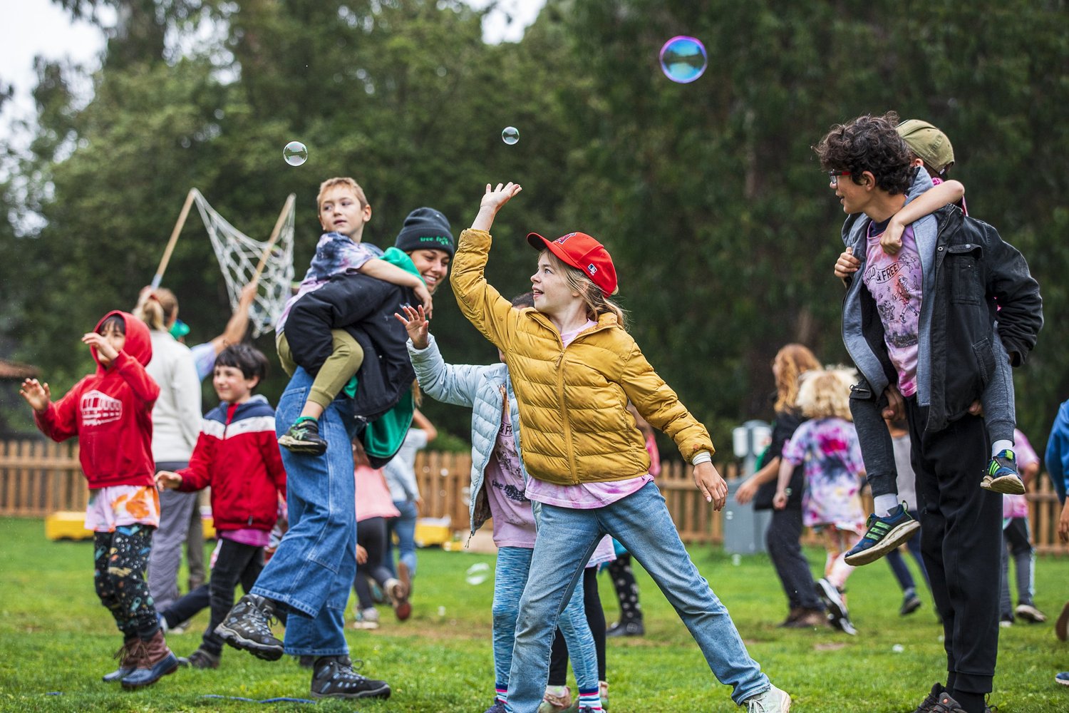 Mini Custom Camps — Tree Frog Treks