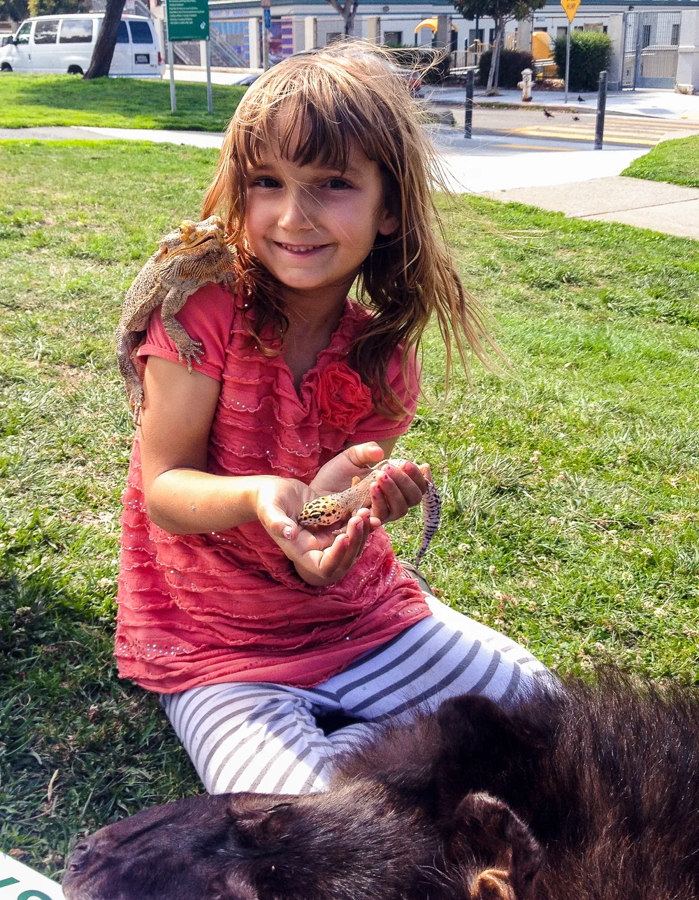 Scholarships — Tree Frog Treks