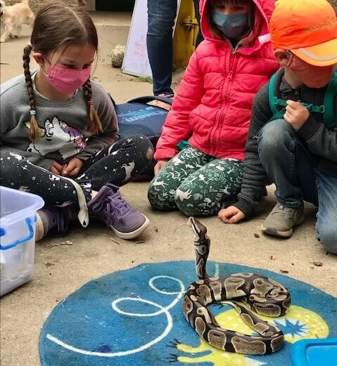 Tree Frog Treks