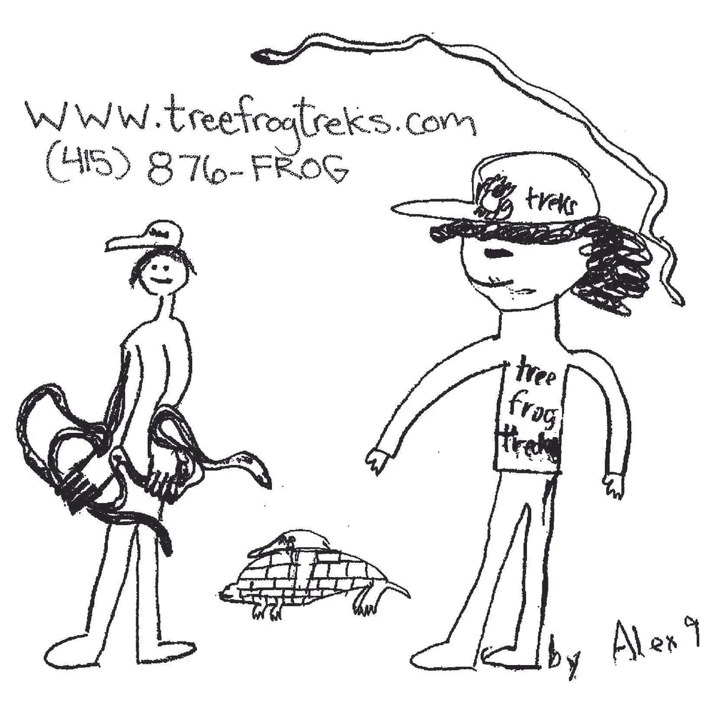 STICKER SWEEPSTAKE — Tree Frog Treks