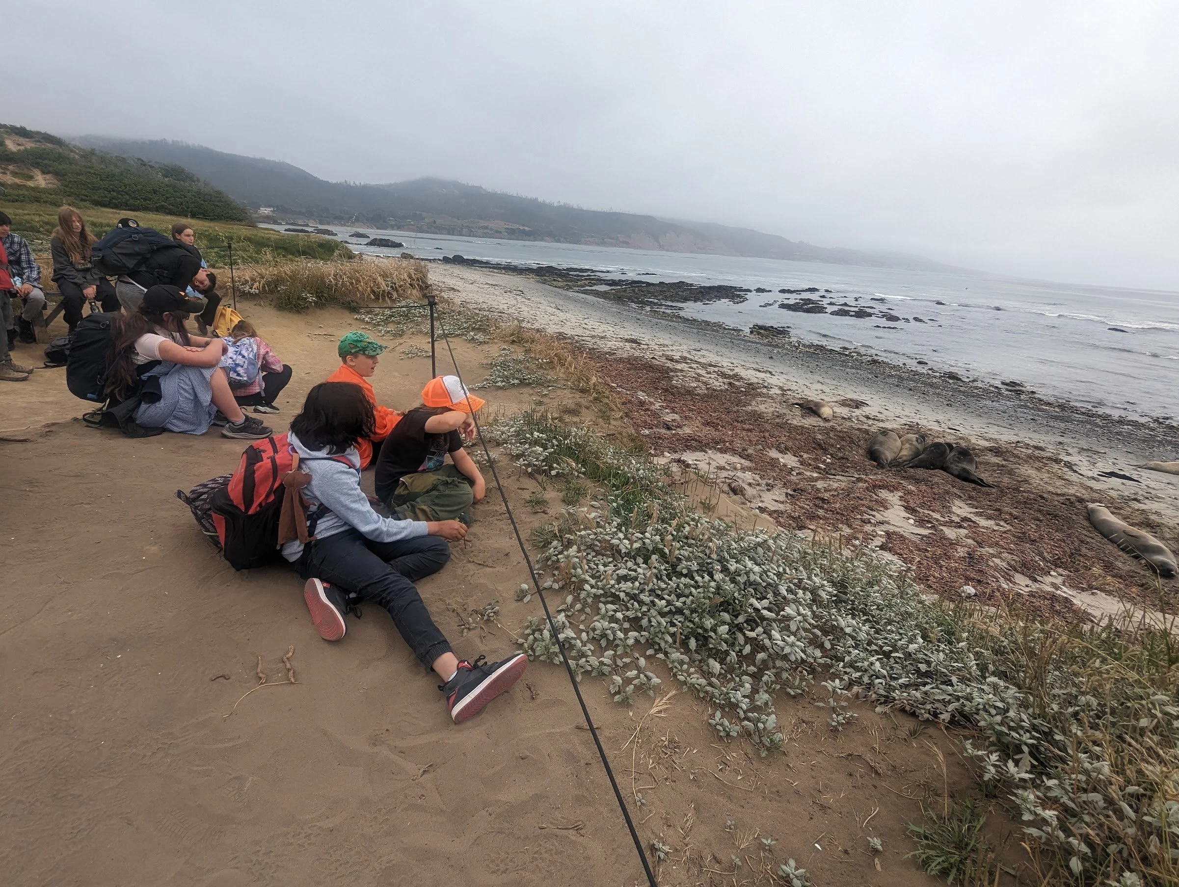 Green Teen Machine Camp — Tree Frog Treks