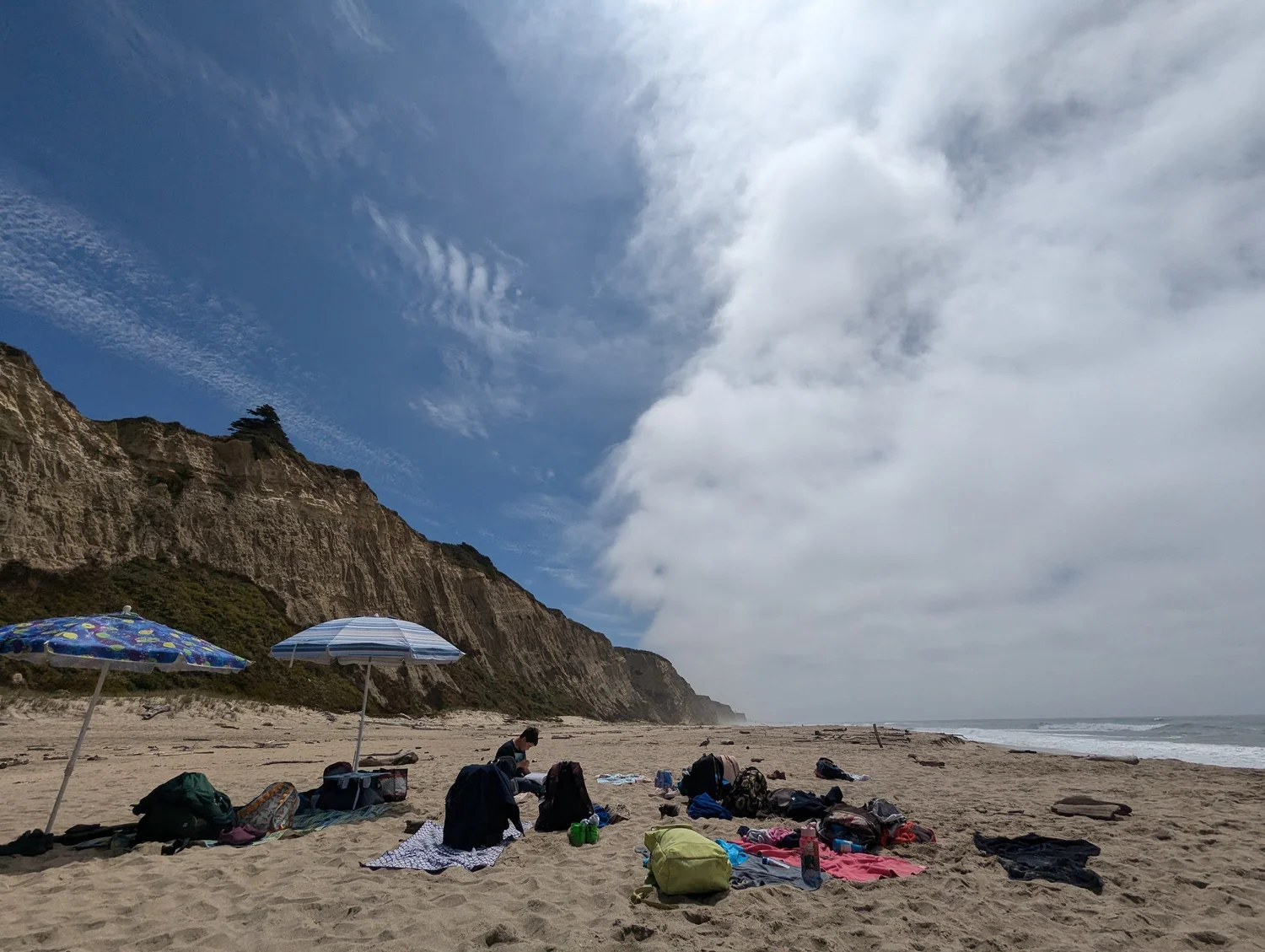 Green Teen Machine Camp — Tree Frog Treks