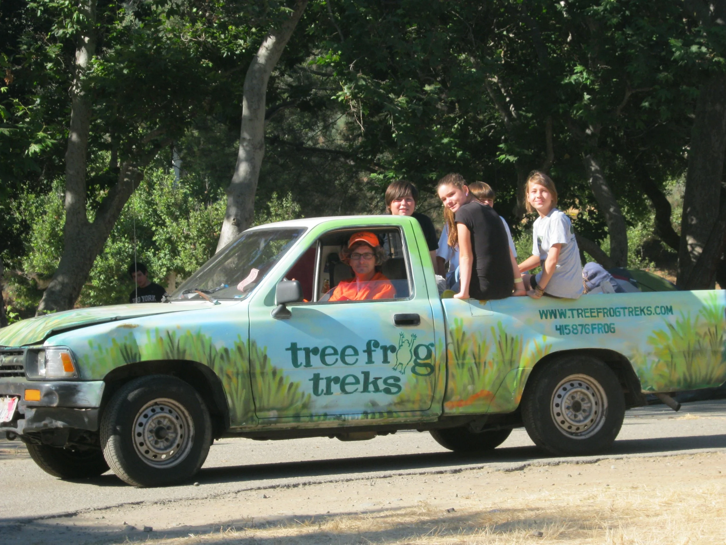 Leave a Review! — Tree Frog Treks