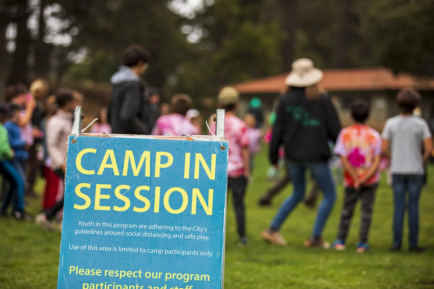 Mini Custom Camps — Tree Frog Treks