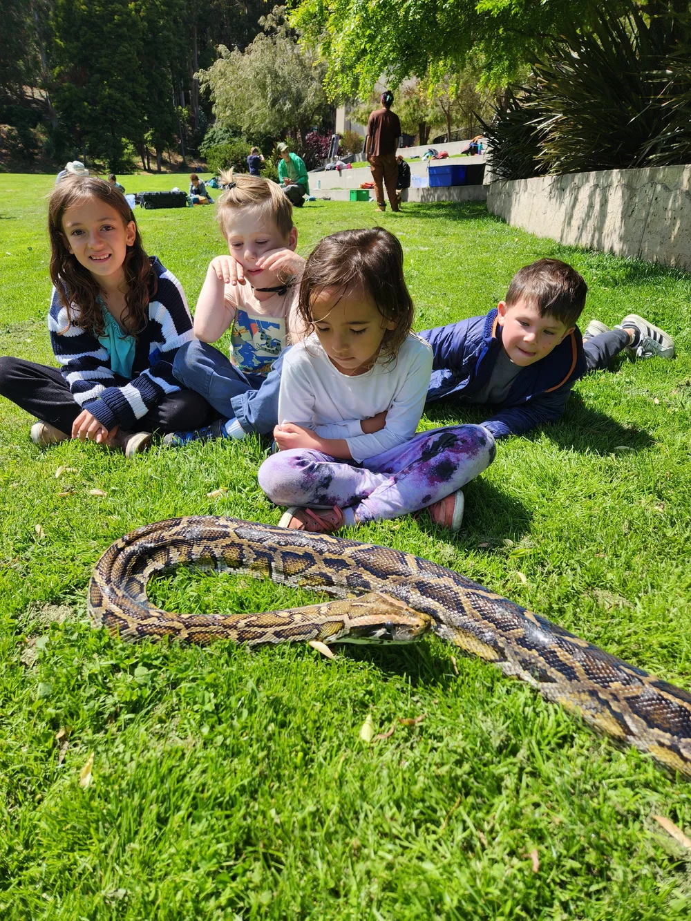 Animal Ambassadors — Tree Frog Treks