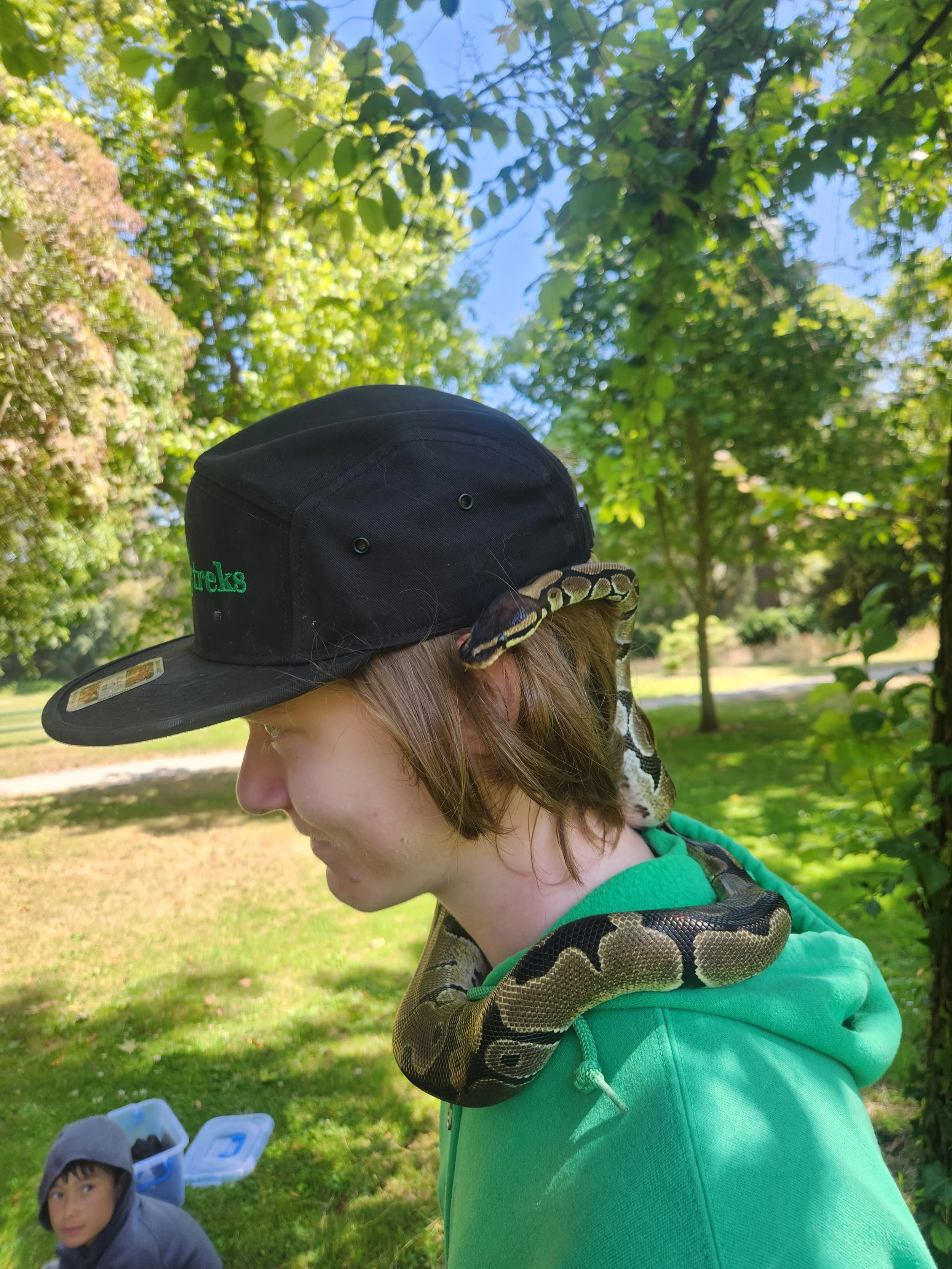 Animal Care Assistant Internship — Tree Frog Treks