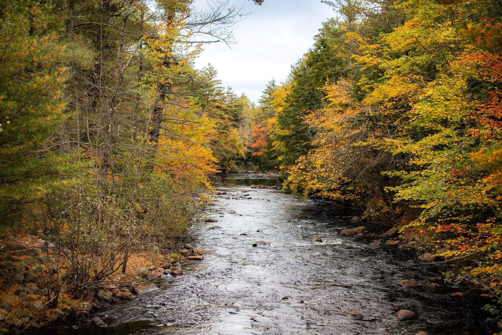Crooked River Project — Andy Gagne Photography