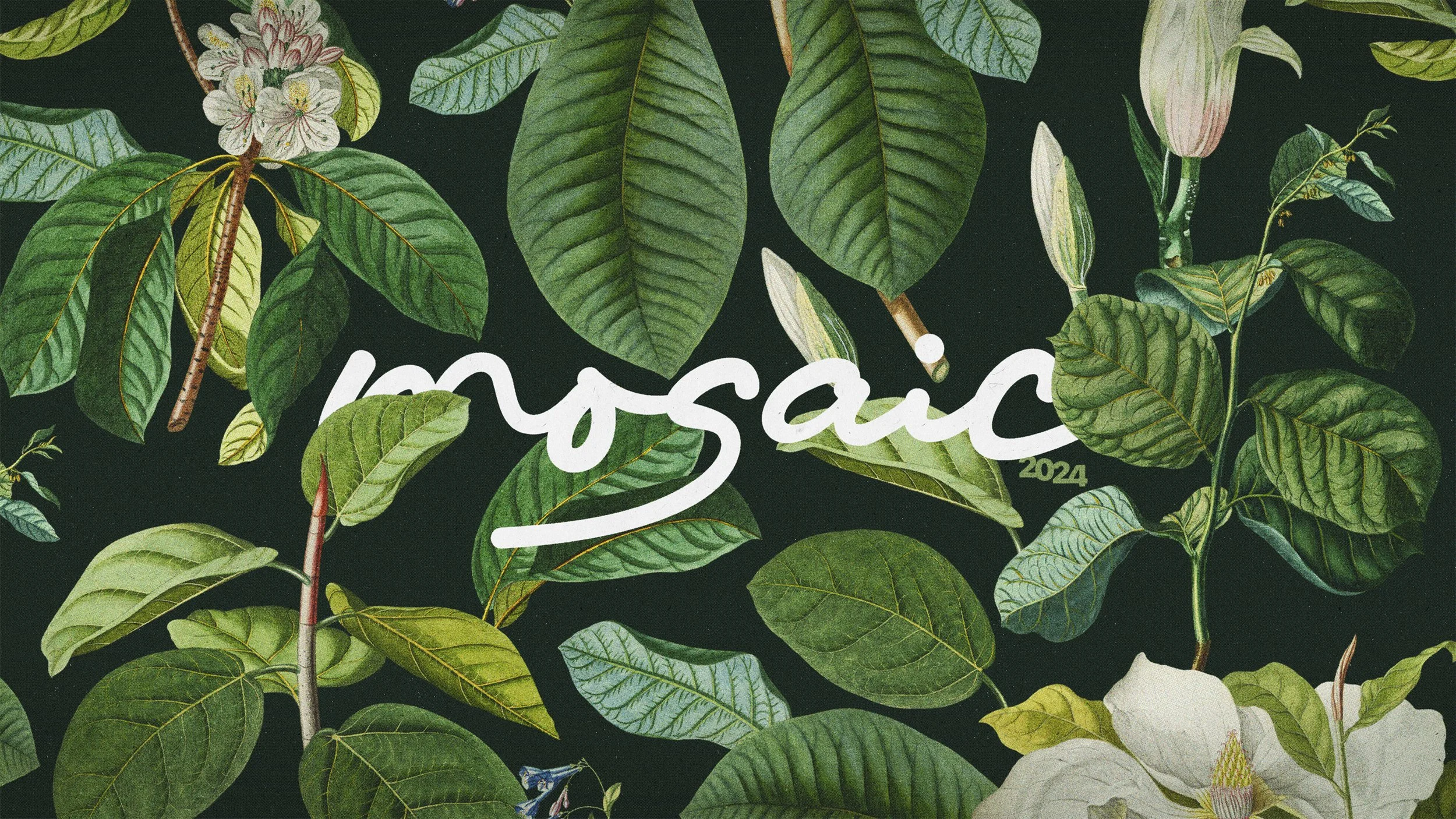 MOSAIC 2024 — Corryton Church