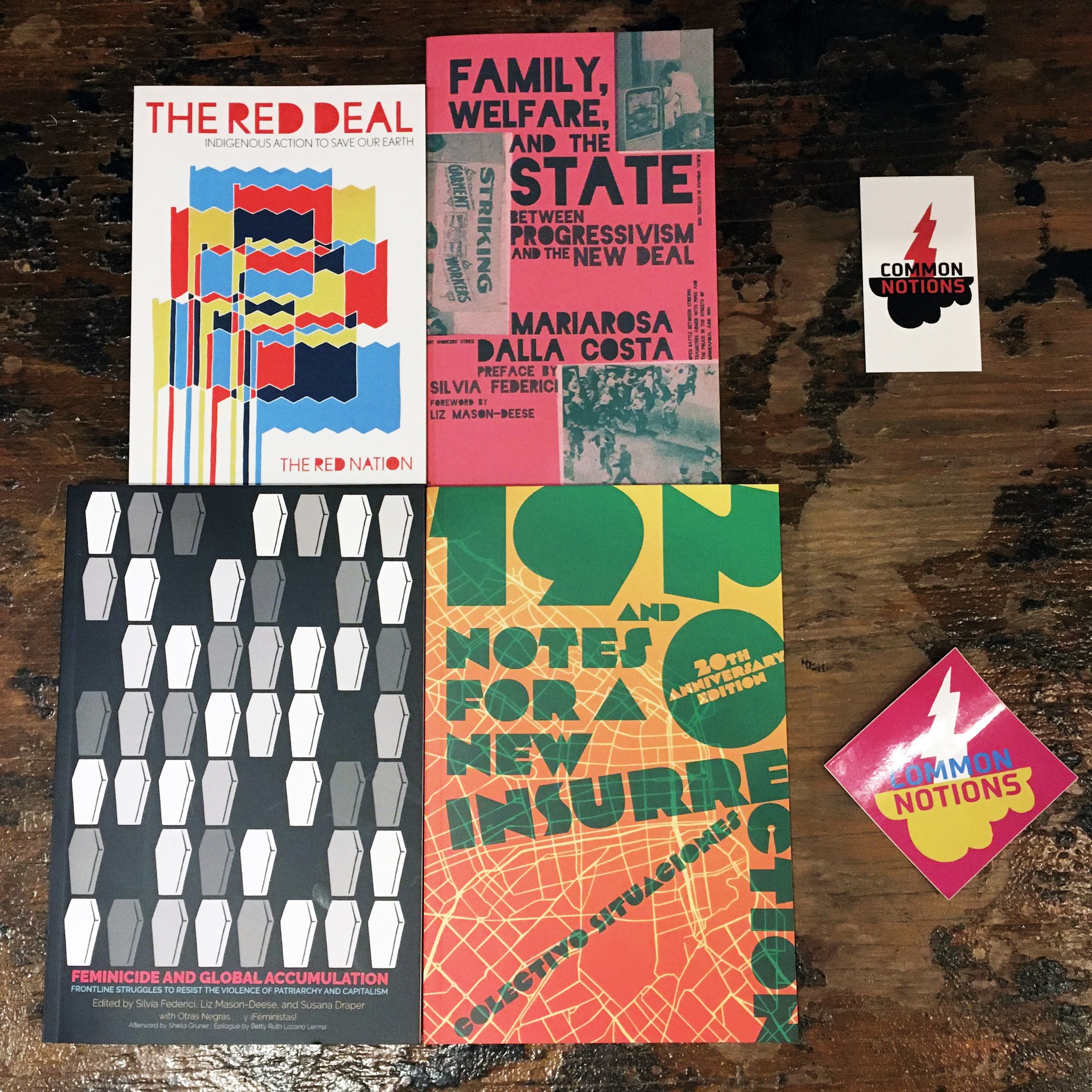 Past & Future Common Notion Books — Common Notions Press