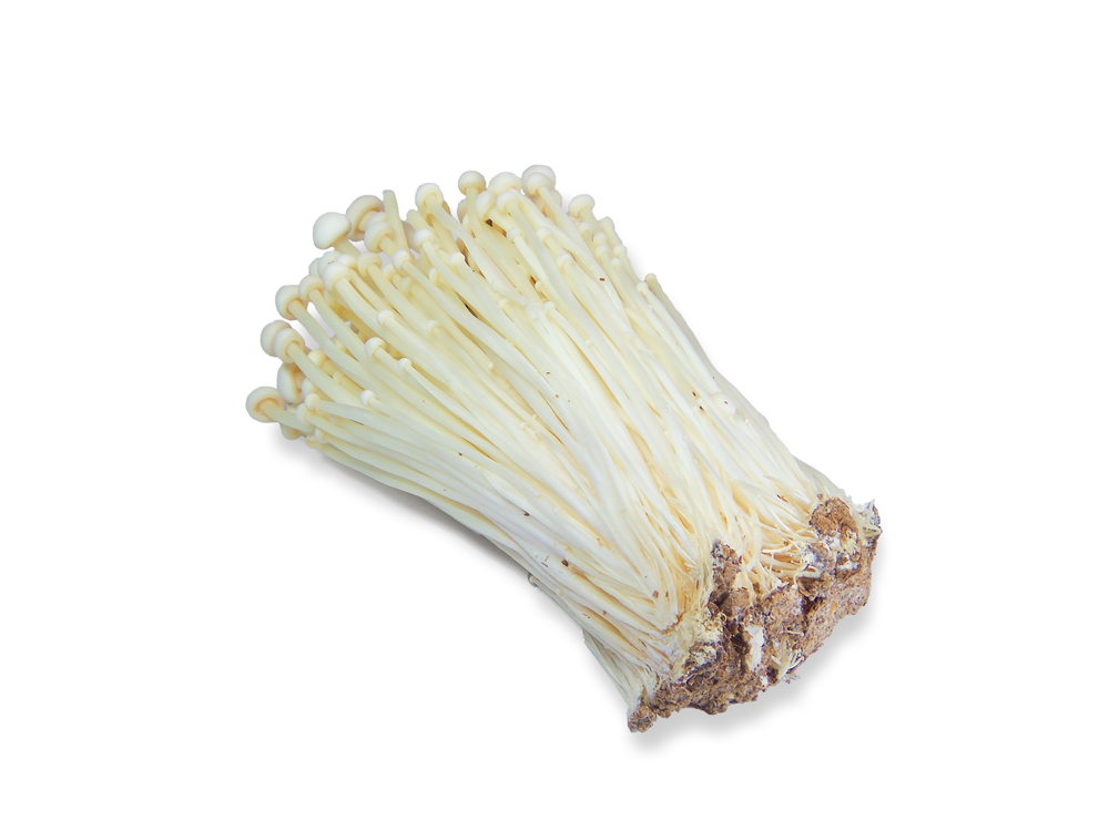 Golden Needle Mushrooms