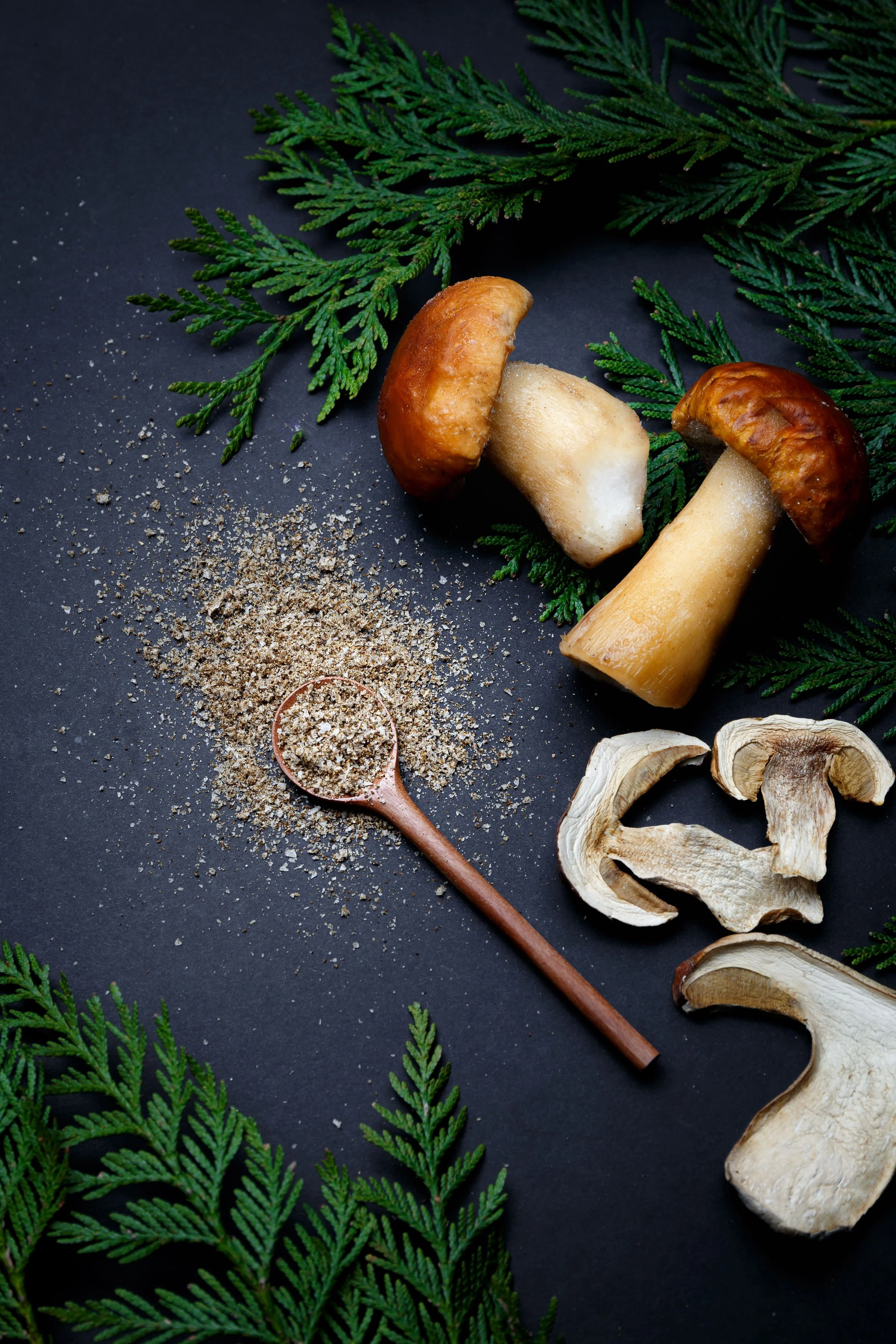 Wild Porcini Sea Salt — Ponderosa Mushrooms & Specialty Foods