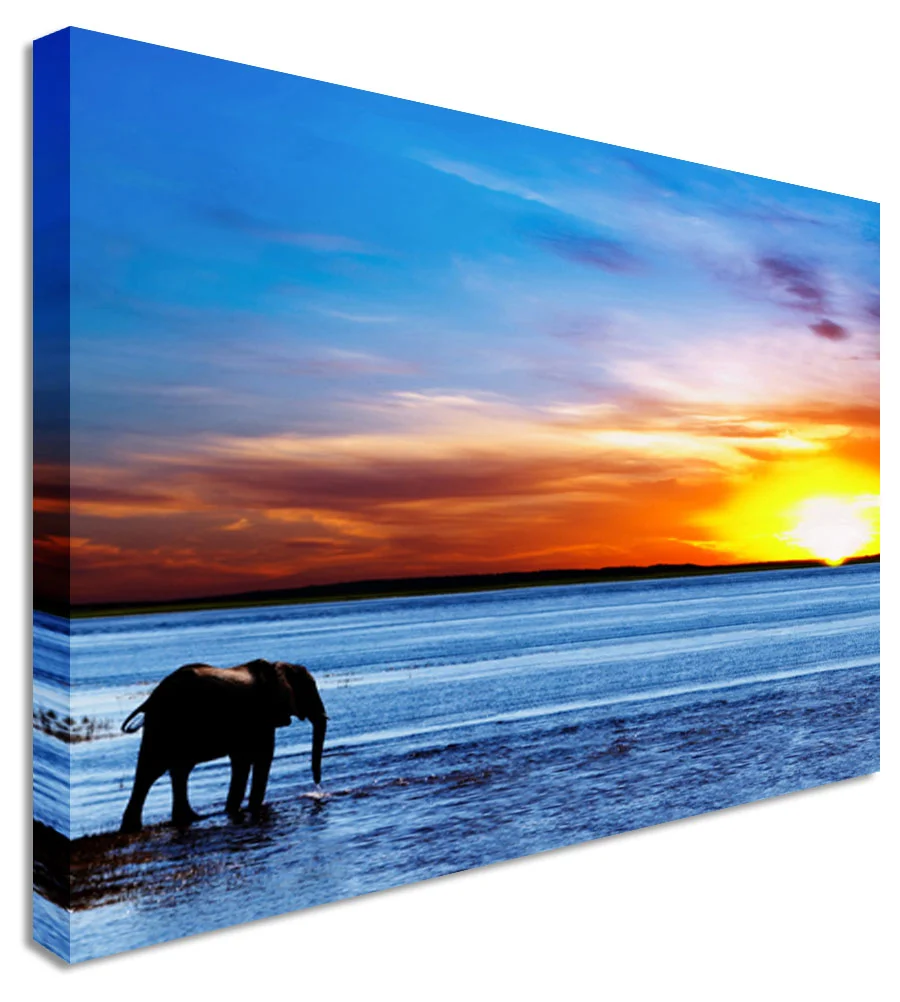 Elephant Sunset Canvas