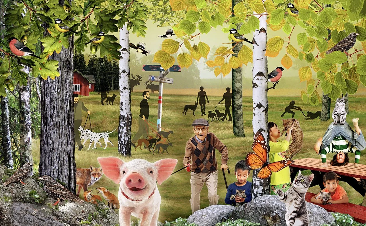 Multi-Matte — JE. Design