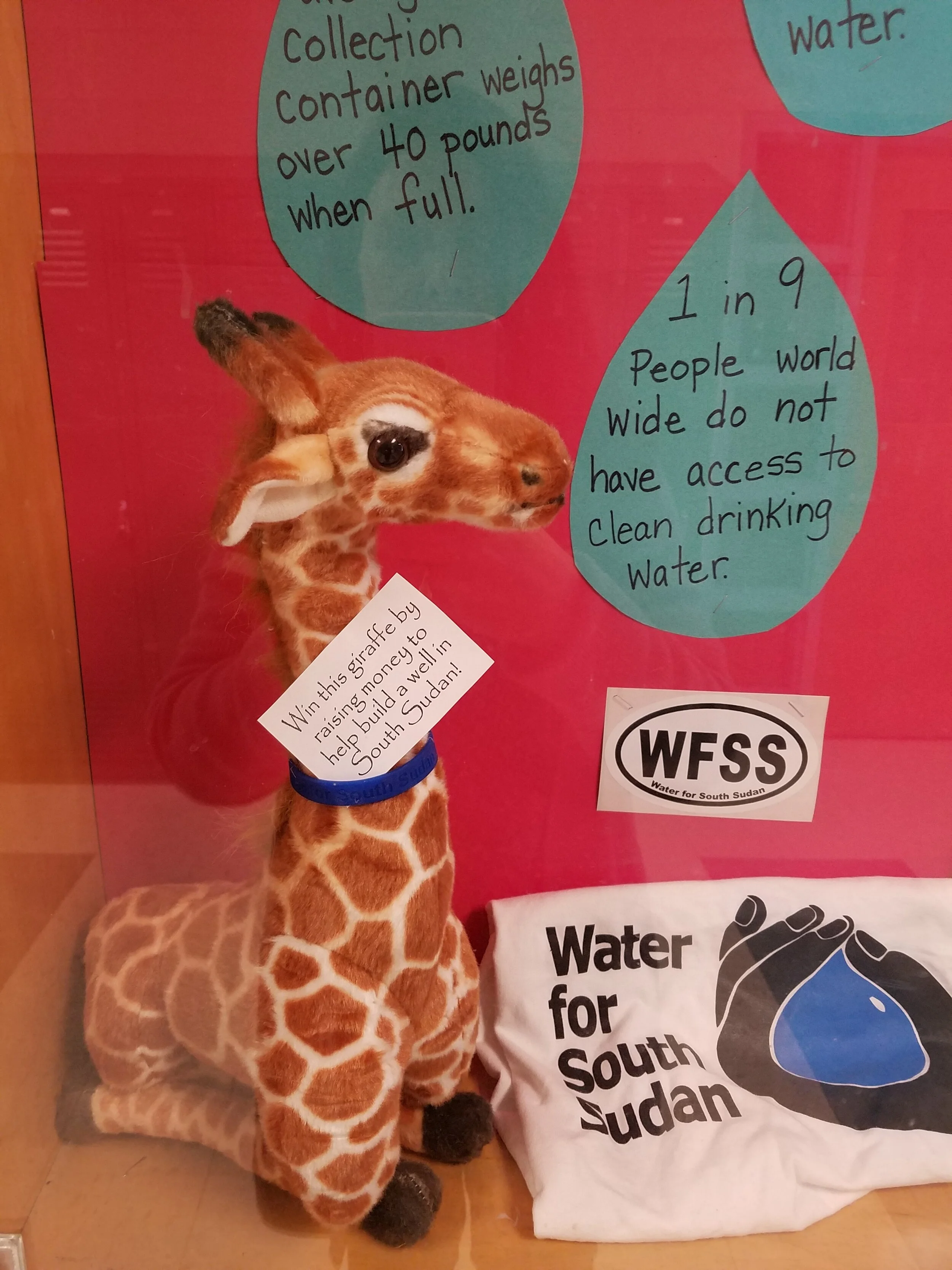 Iron Giraffe Challenge — Water For South Sudan