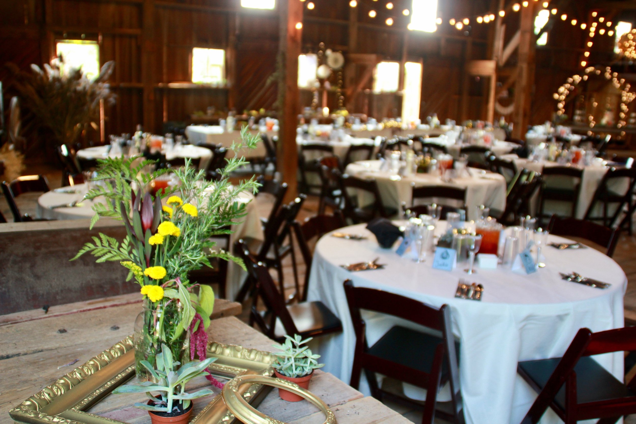 Weddings at the Farm — Walnut Grove Farm