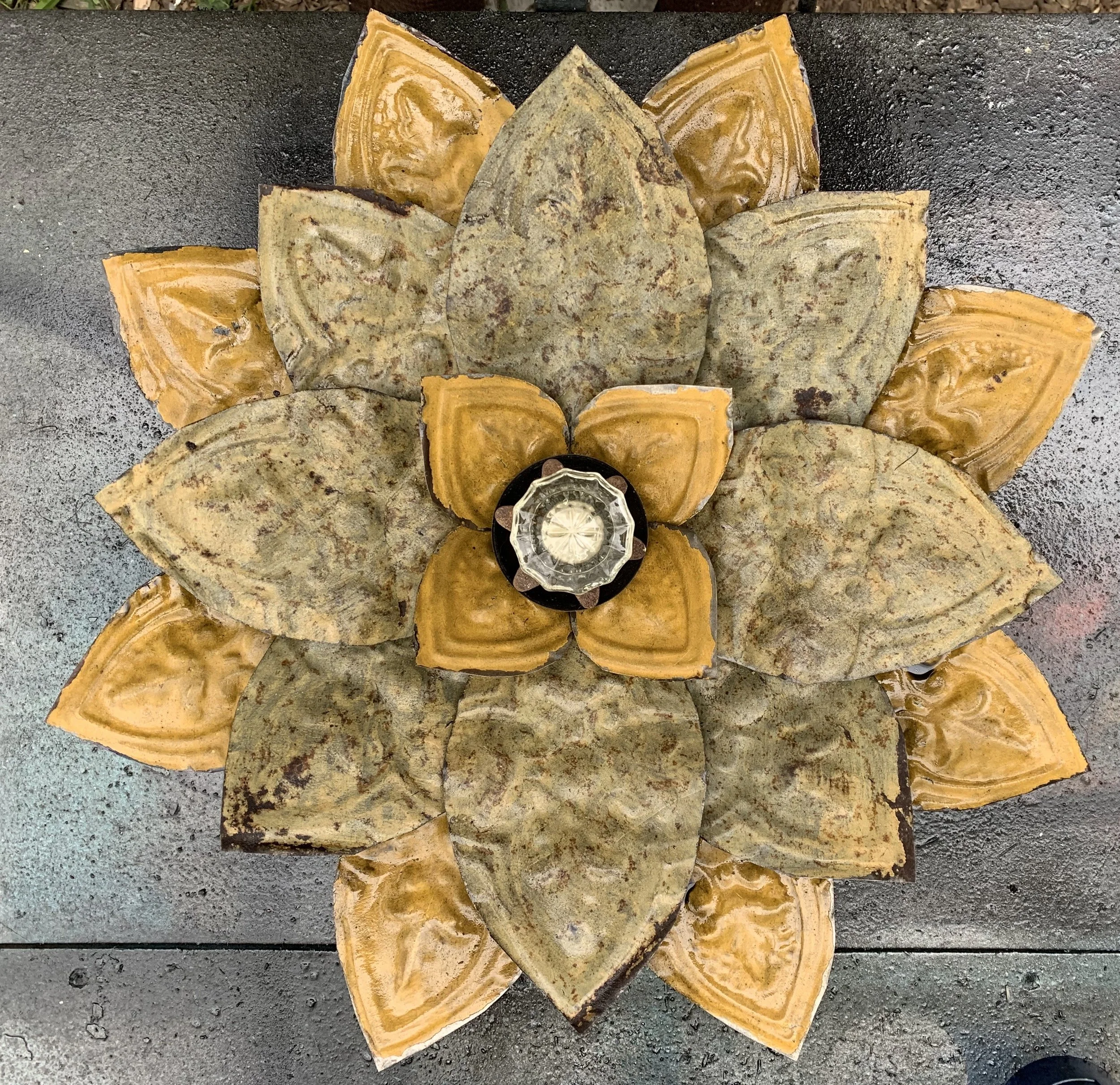 April Sepich — Walnut Grove Farm