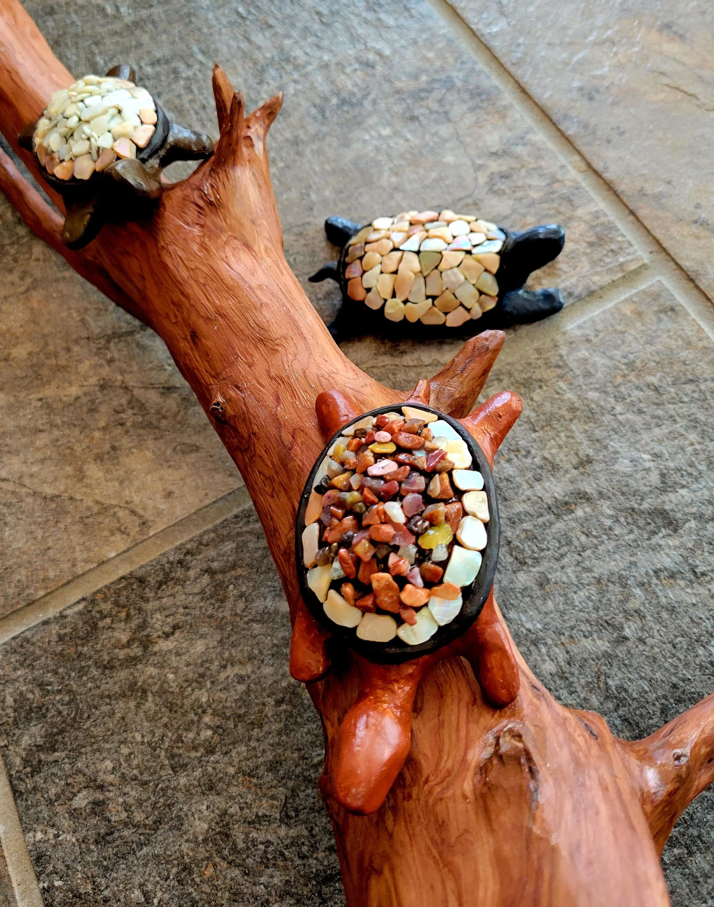 Marcia Fox — Walnut Grove Farm