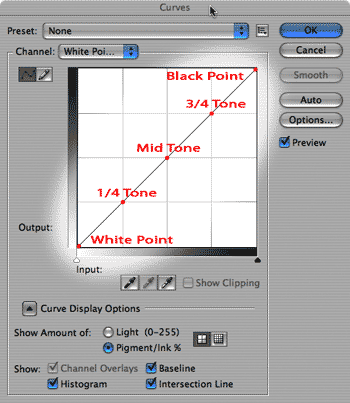 White Point 2 — Roland Miller Photography