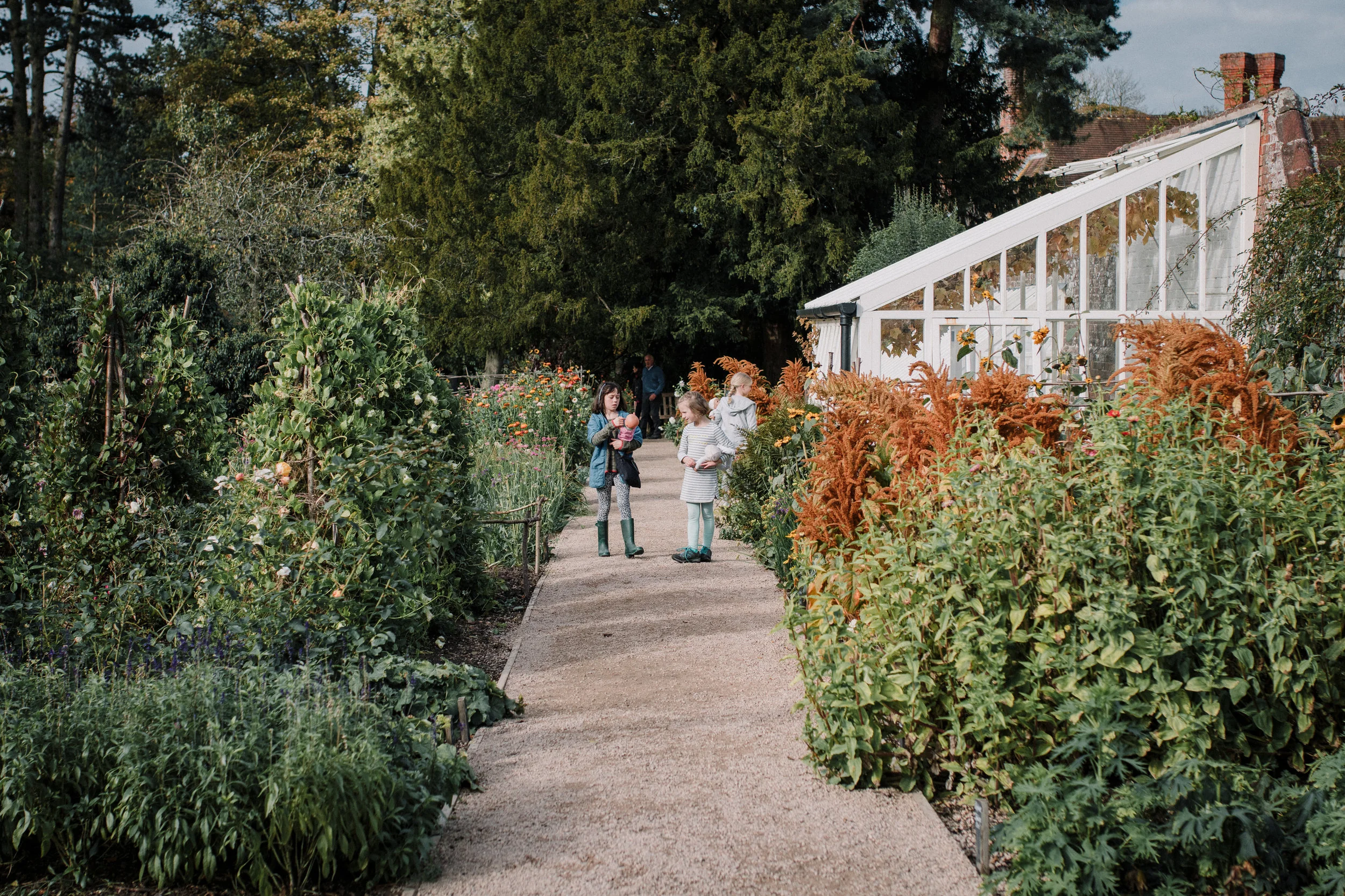 An ode to Autumn — carolyn carter