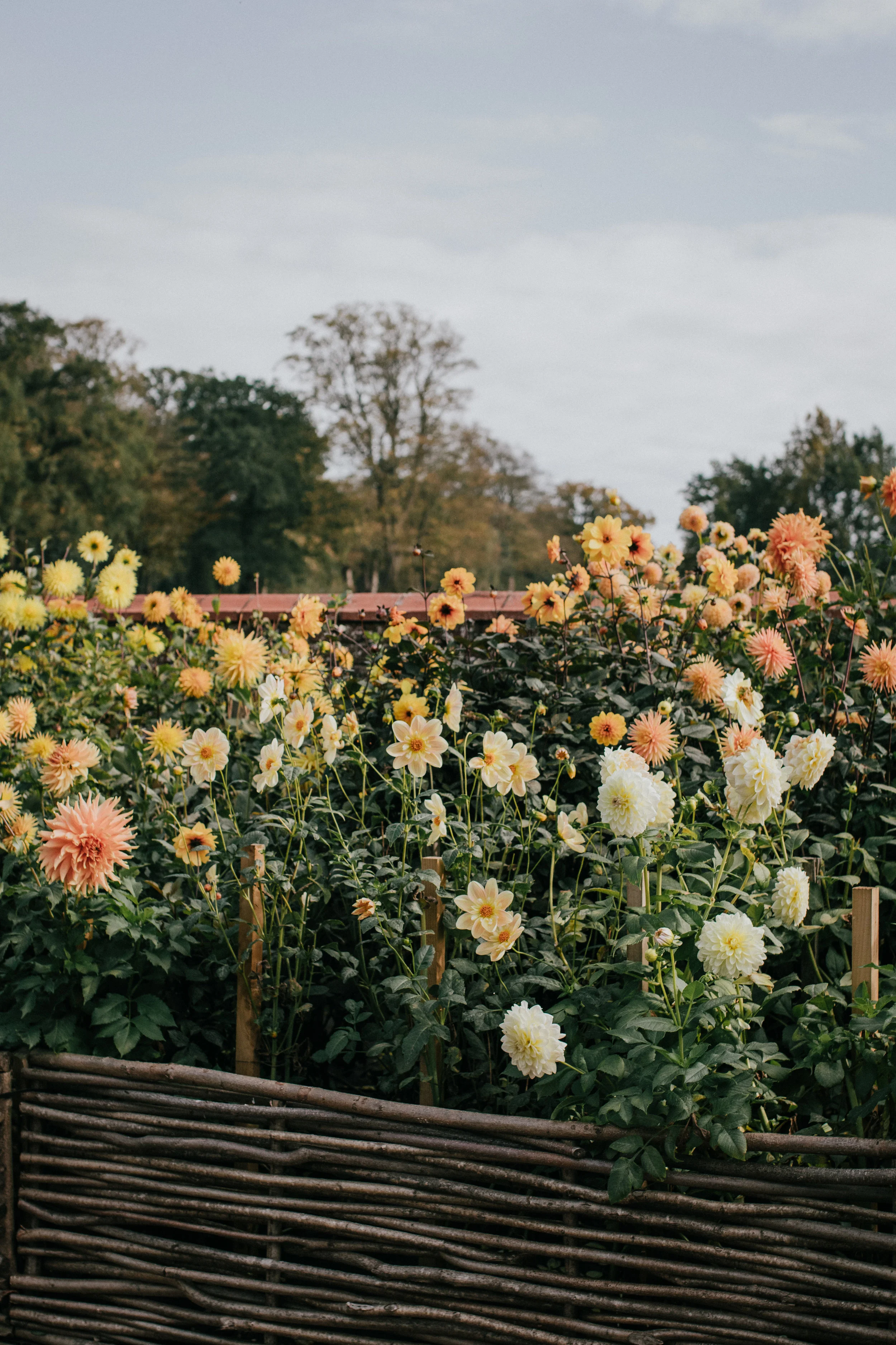 An ode to Autumn — carolyn carter