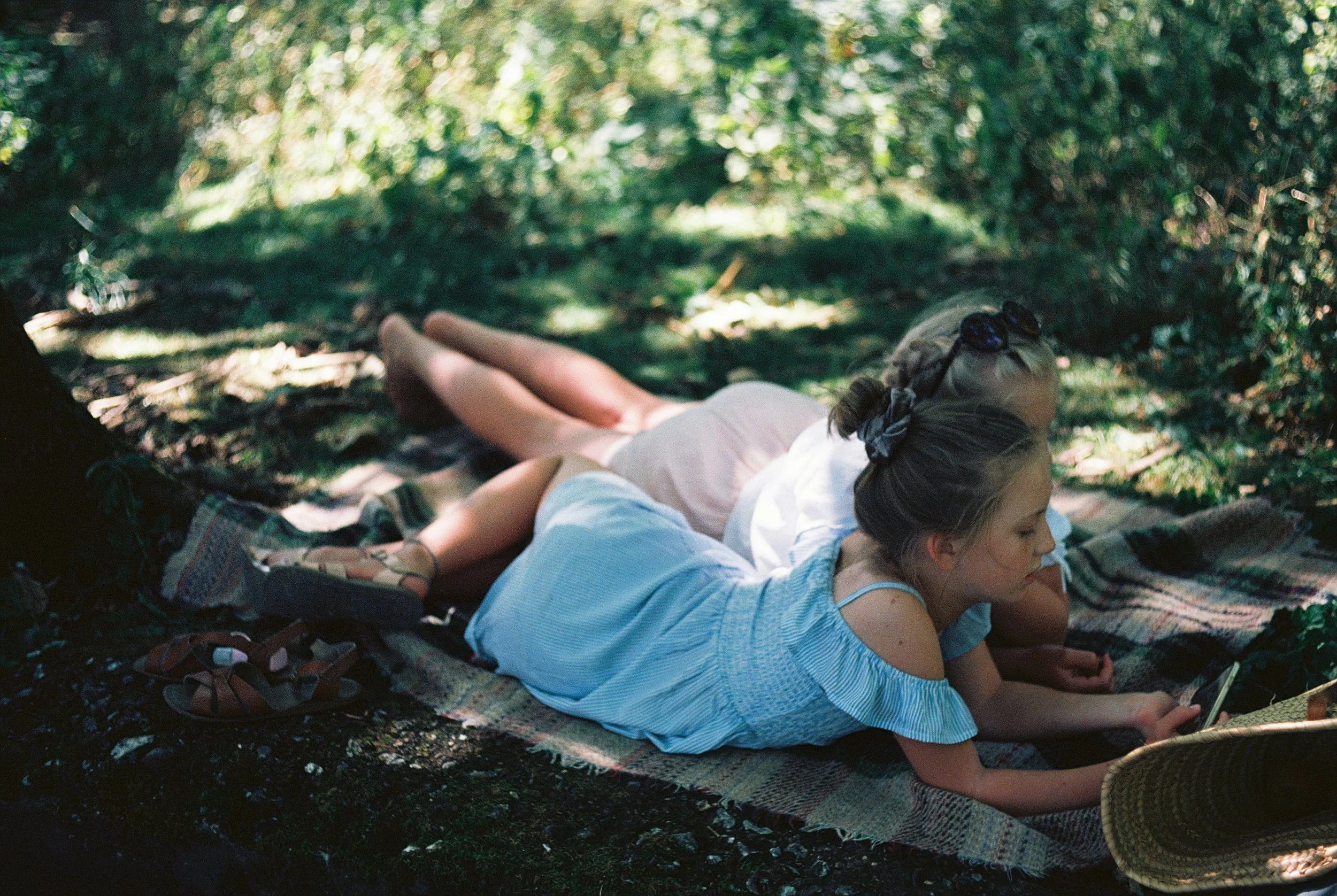 Carolyn Carter - Photographer & Creative