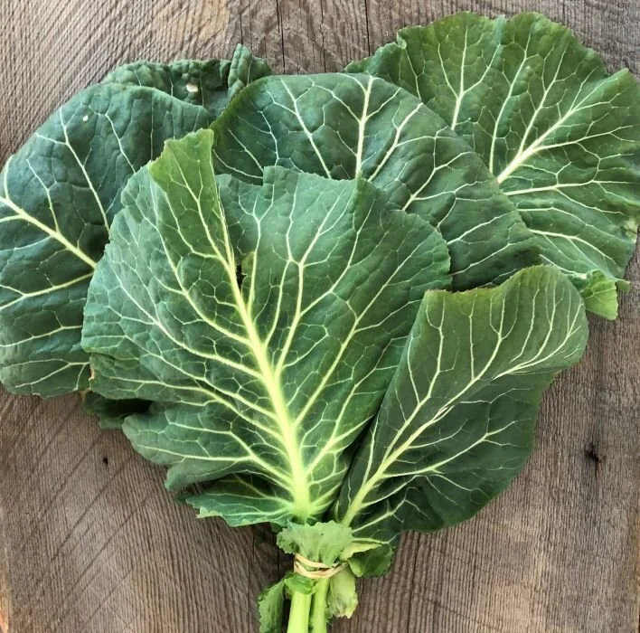 Bluestem Farm | Organic Vegetables and Pasture-Raised Protein