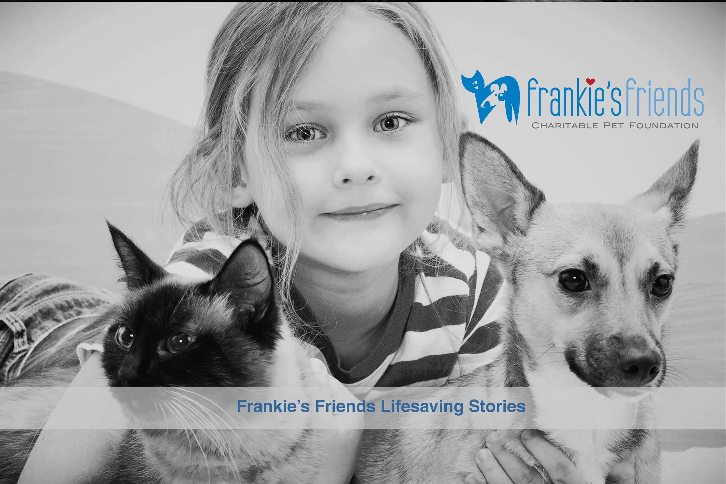 OUR MISSION — Frankie's Friends