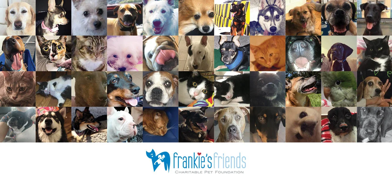 National Frankie's Friends Fund — Frankie's Friends