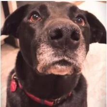 Thank you for helping Clara. She has been a blessing to us since she ...