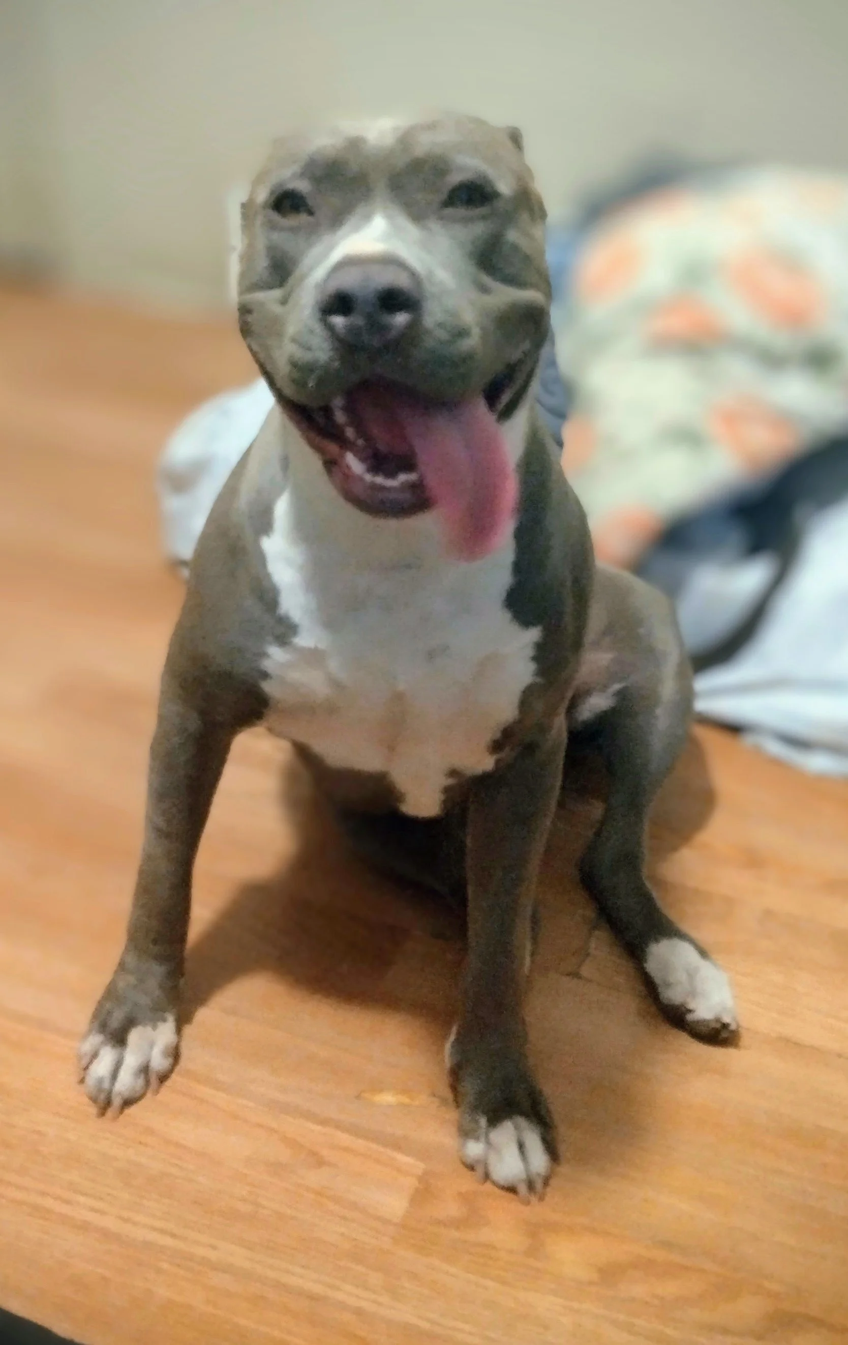 Thank you so very much for giving me back my best friend Athena ...