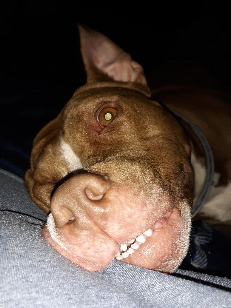 Reese is such a loving girl who is a huge part of our family. — Frankie ...