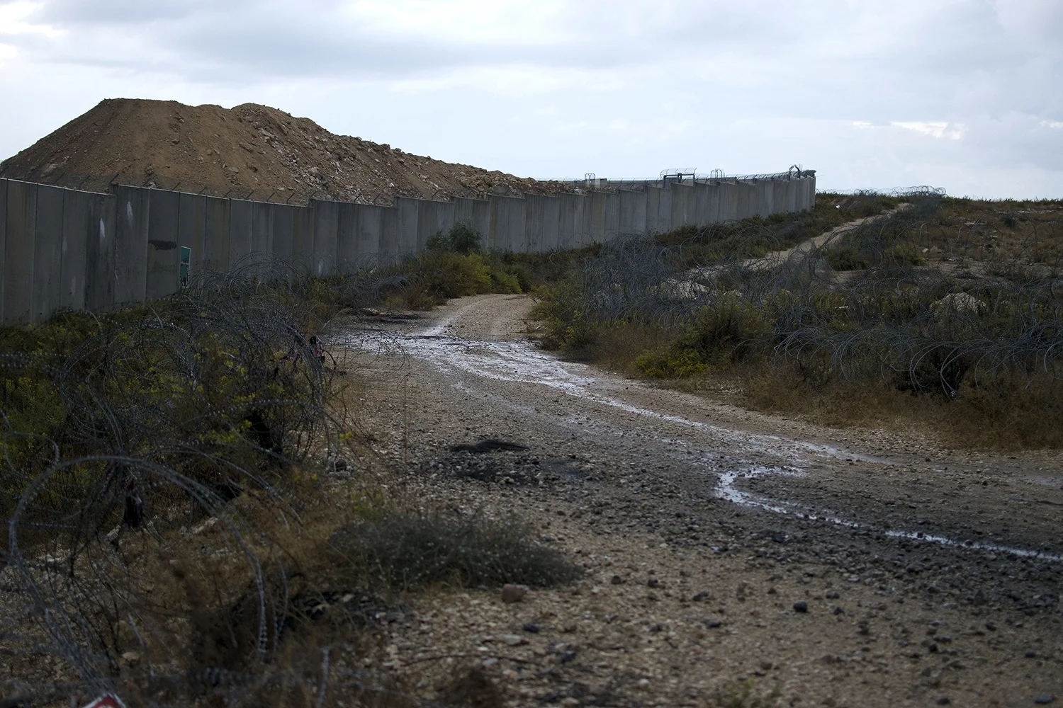A Black Vision of Palestine — Anthony Grimes