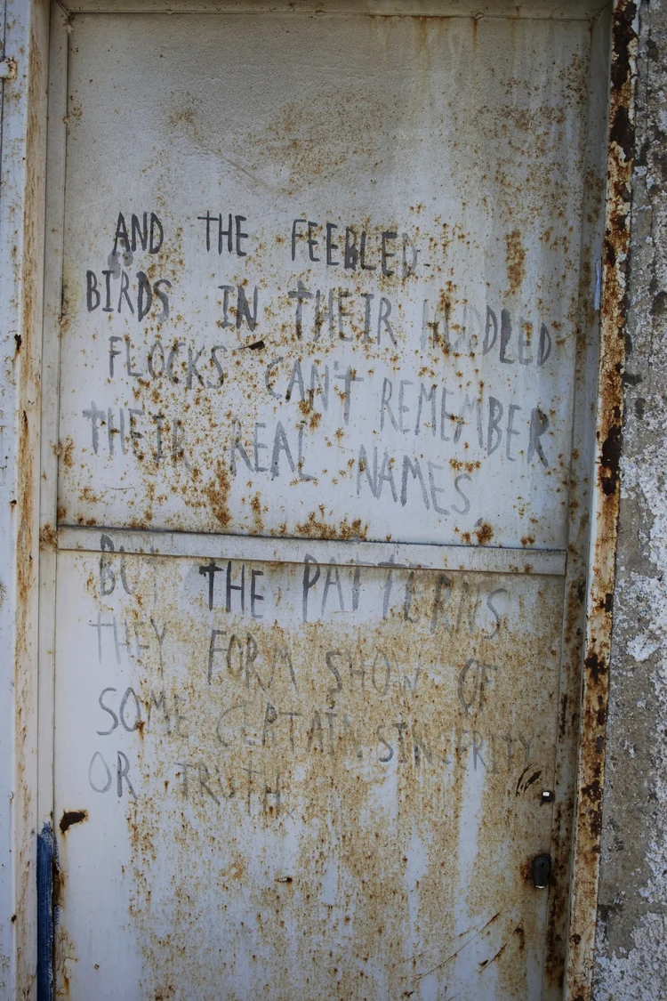 A Black Vision of Palestine — Anthony Grimes