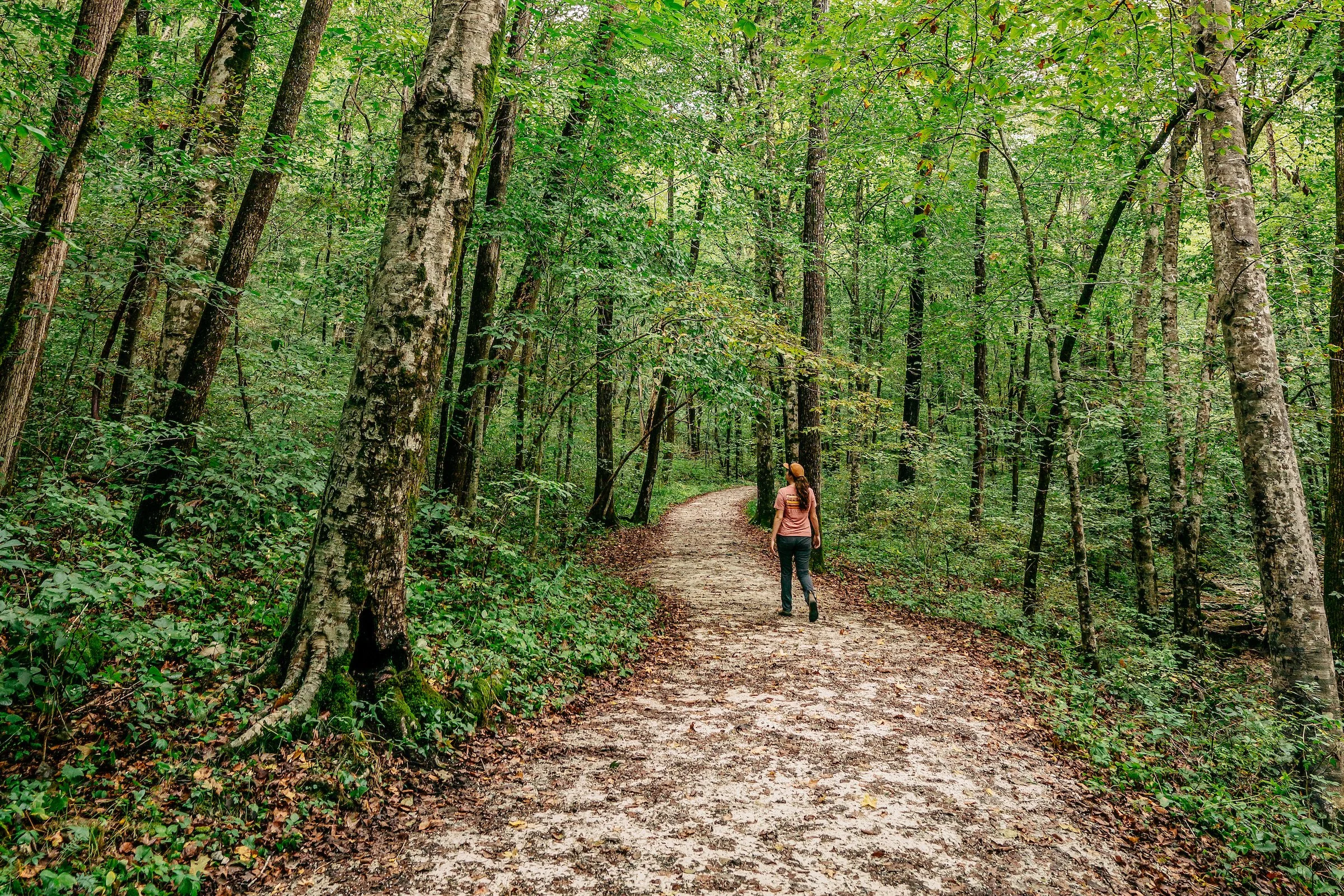 Lost Valley - Eden Falls - Buffalo National River — JEFF ROSE