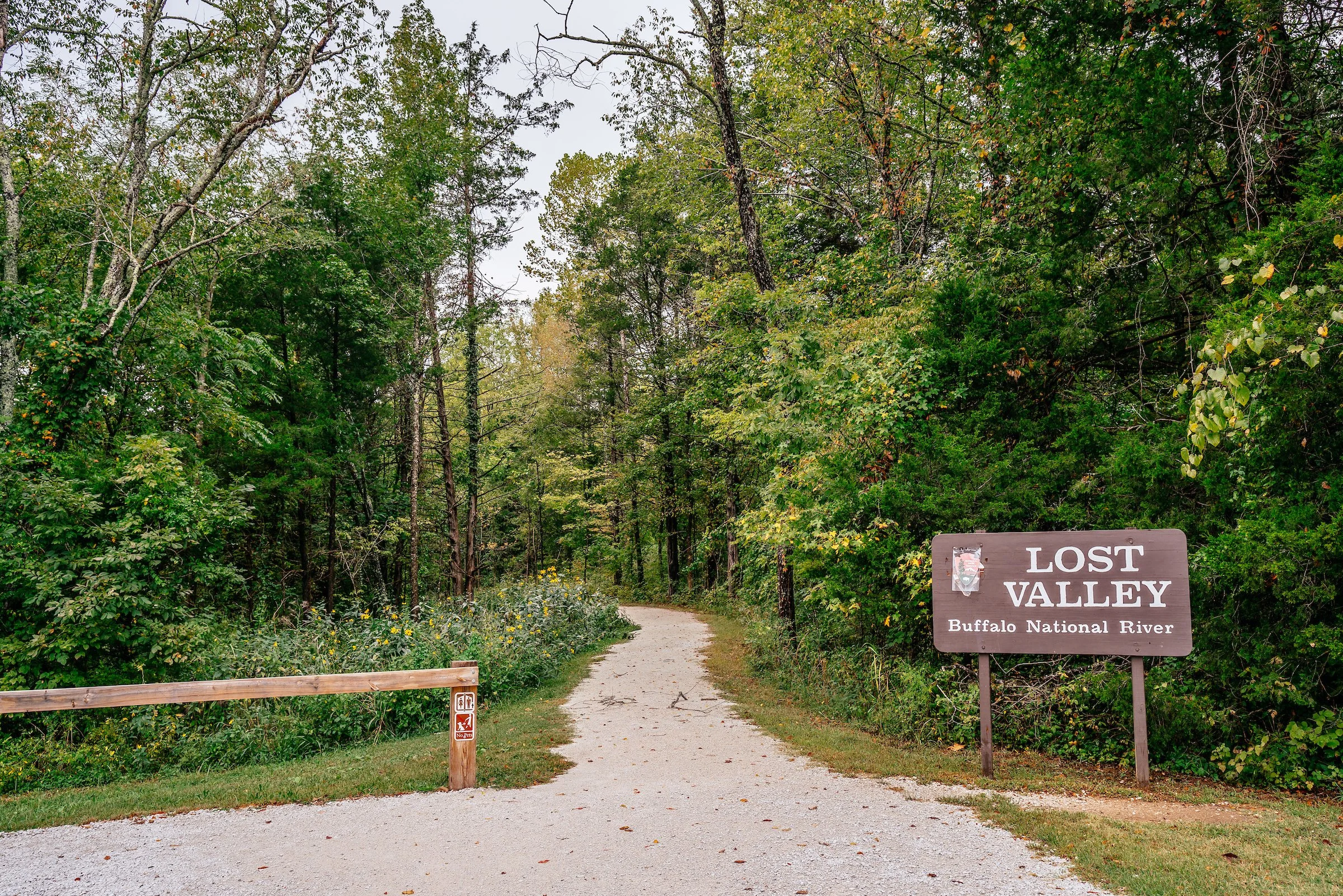 Lost Valley - Eden Falls - Buffalo National River — JEFF ROSE
