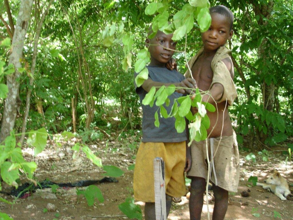 Photo Gallery — Dalmann UK