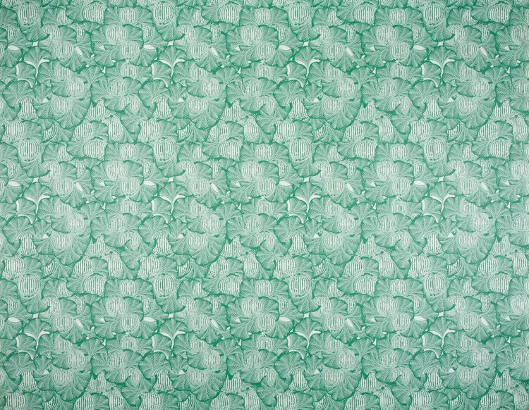 Isobel — Evans & Sheldon