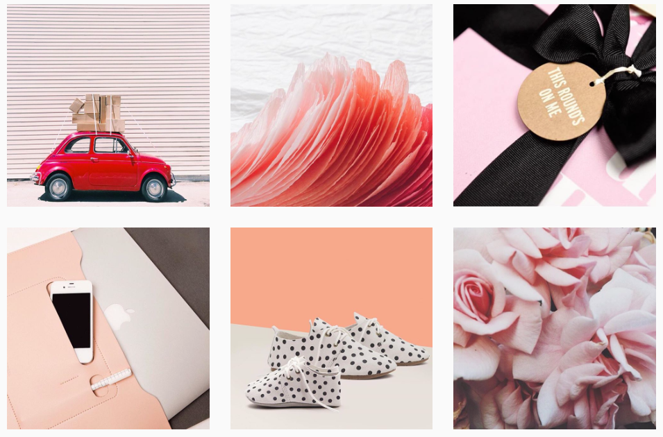 Instagram 101: 5 Quick Ways To Grow Your Following — Create & Cultivate