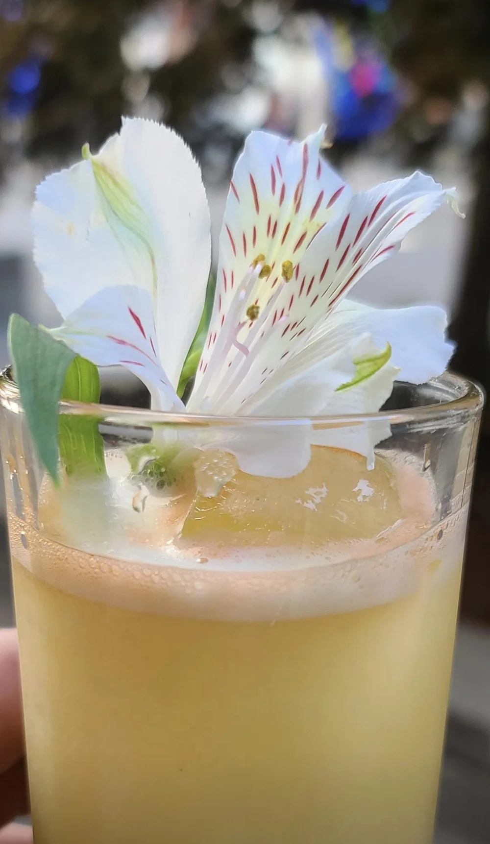 Honey Bee Cocktail | Wayward Distillery