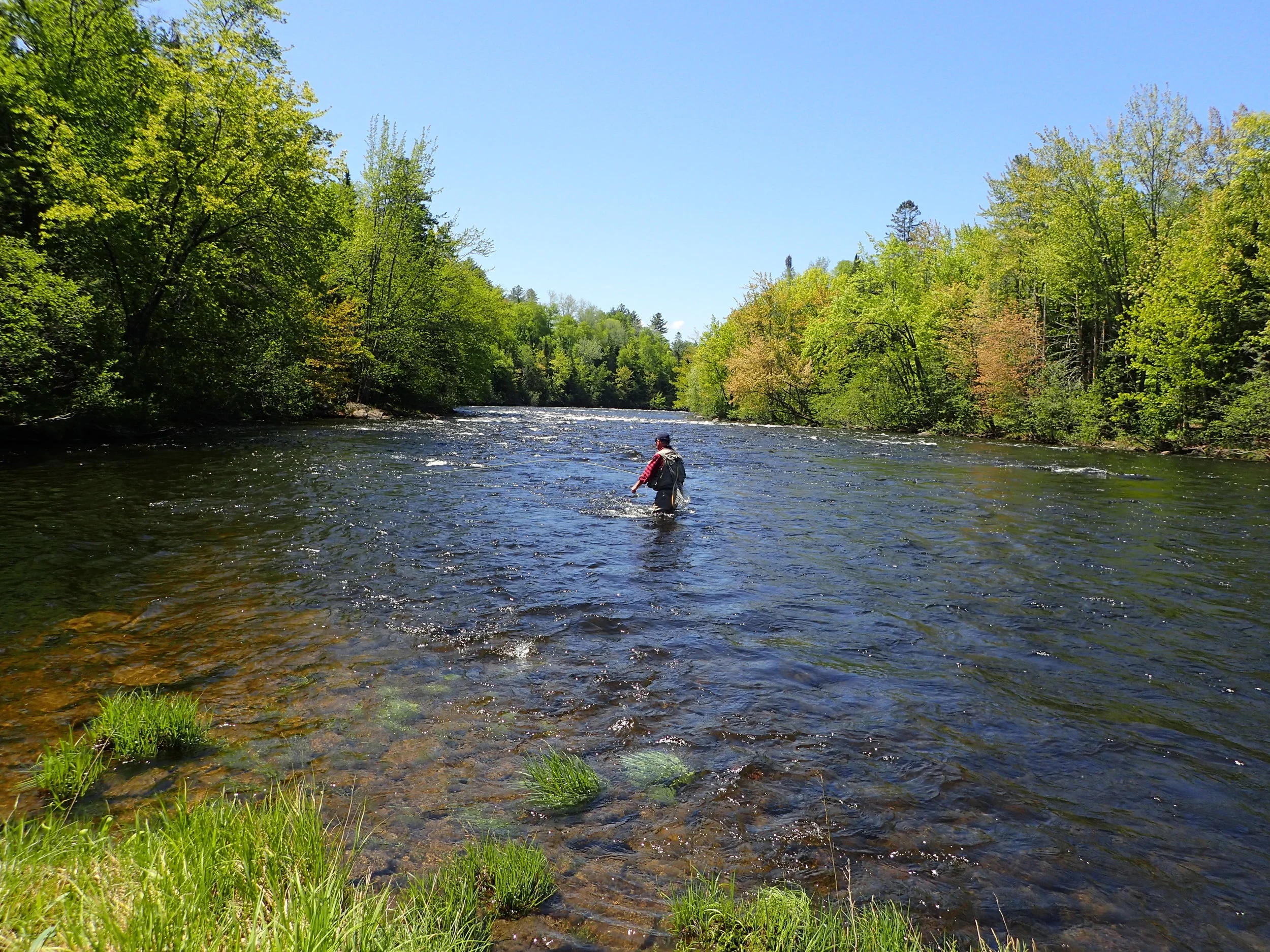 Androscoggin River — Top Notch Fly Fishing LLC