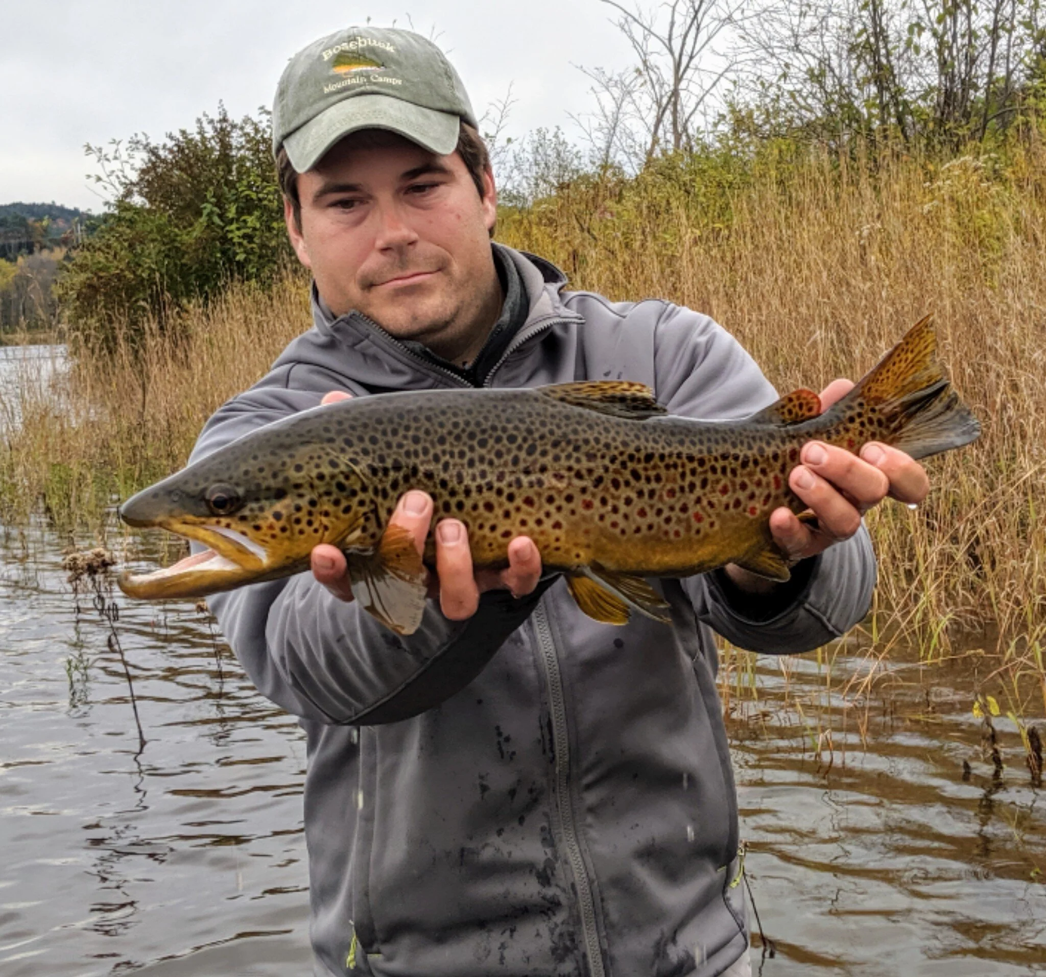 Thinking Through Streamer Set-Ups. — Top Notch Fly Fishing LLC